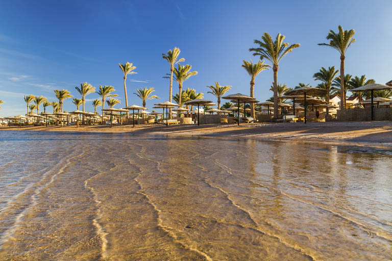 The Set Network | Egypt Takeover Splash